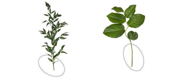 Wedding Centerpieces DIY: Greenery Step by Step Guide | Cheap | Easy